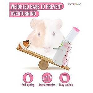 Guinea Pig Water Bottle, Small Animal Water Bottle No Drip, OVERTANG 2 in 1 125ml Rodent Pet Water Bottle No Drip for Cage Hanging Water Feeding Bottles Auto Dispenser for Hamster Guinea Pig Rabbit