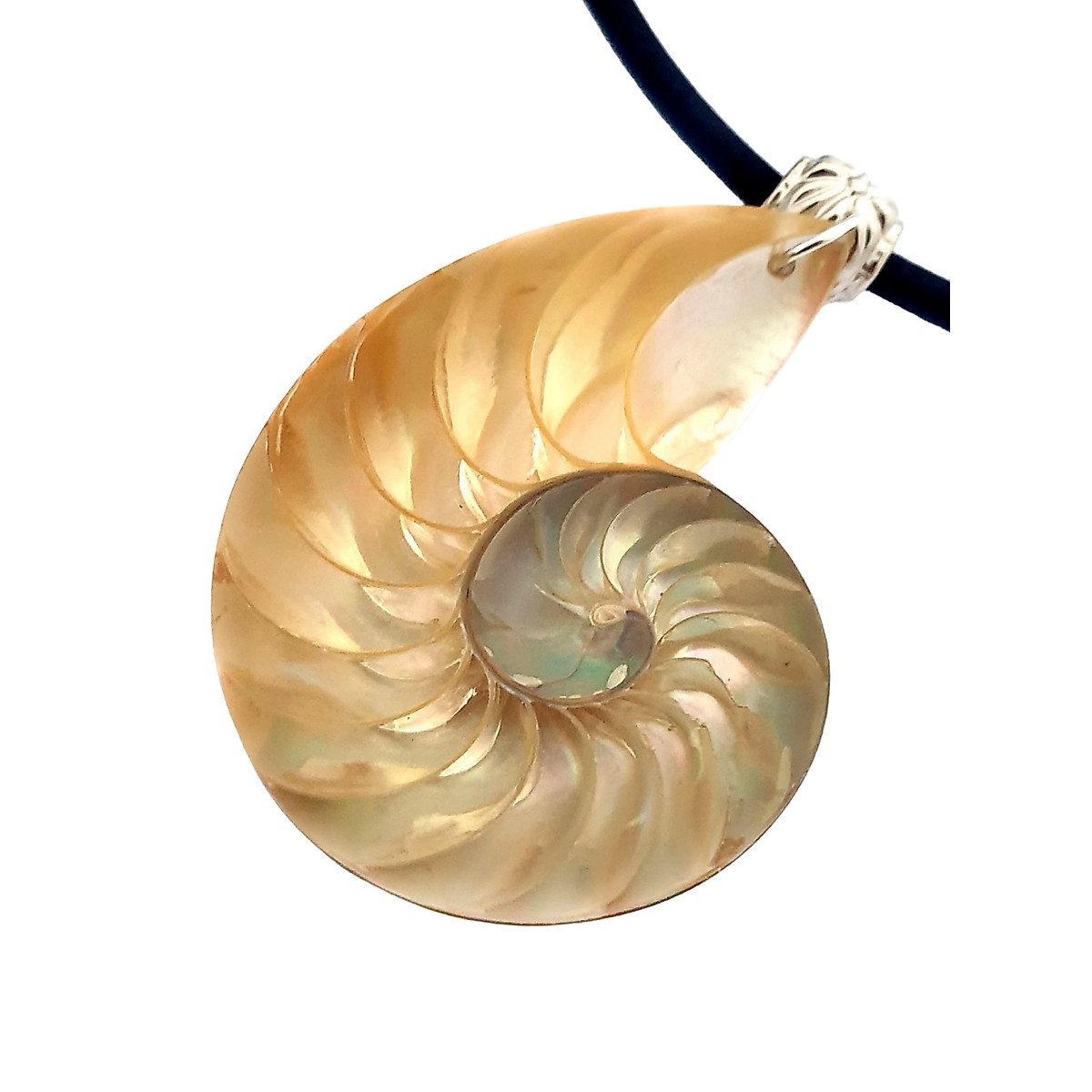 Swimmi Rare Natural Open Nautilus Shell Necklace, Hand Polished Pearly Nautilus Necklace for Women, Adjustable Cord Nautilus Mother of Pearl Necklace, Ursula Necklace Jewelry AA419-CR