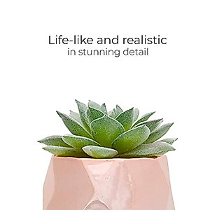 Nordik Set of 4 Desk Plants in Rose Gold - Office Decor for Women, Indoor, Living Room, Bedroom, Home and Desk Decor – Pink Faux Succulents Geometric Ceramic Planters