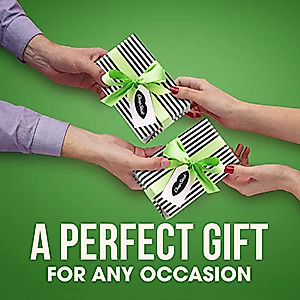 ChapStick Classic Spearmint Lip Balm Tubes, Spearmint ChapStick for Lip Care, Father's Day Gift - 0.15 Oz (Pack of 2)