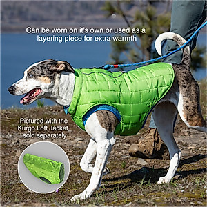 Kurgo Core Dog Sweater, Knit Dog Sweater with Fleece Lining, Cold Weather Pet Jacket, Zipper Opening for Harness, Adjustable Neck, Year-Round Sweater for Small Dogs (Heather Green, Small)