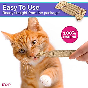 RYERCAT Silvervine Sticks for Cats - All-Natural Cat Chew Toy for Aggressive Chewers, Kitten Teething, and Dental Health - Silvervine Cat Toy for Hours of Fun and Relaxation (5 Pack)