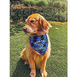 NC YHTWIN I'm Going to Be a Big Brother Dog Bandanas, Pet Baby Bulletin Plaid Dog Scarf, Gender Revealing Photo Props, Pet Dog Photo Props Accessories