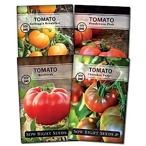 Sow Right Seeds - Beefsteak Style Tomato Seed Collection for Planting - Beefsteak, Kellogg's Breakfast, Cherokee Purple, & Ponderosa Pink - Non-GMO Heirloom Varieties to Plant a Home Vegetable Garden