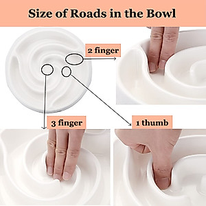 PETDURO Slow Feeder Dog Bowls for Large Dogs 4 Cups - Heavy Duty Dog Food Bowls for Medium Sized Dog - Maze Puzzle Slow Feeding Dog Bowl Accessories Stuff to Slow Down Eating for Fast Eaters