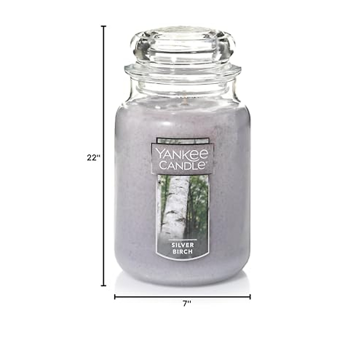 Yankee Candle Silver Birch Scented, Classic 22oz Large Jar Single Wick Aromatherapy Candle, Over 110 Hours of Burn Time, Apothecary Jar Fall Candle, Autumn Candle Scented for Home