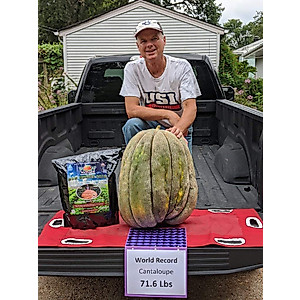 Compost Tea Aerator - The BubbleSnake : 5 Gallon Bucket Aerator