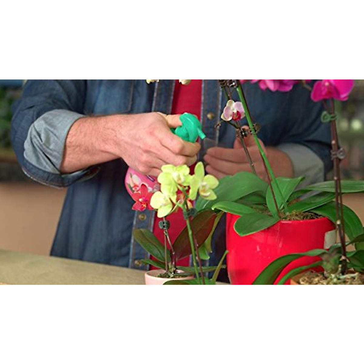 Miracle-Gro Orchid Plant Food Mist Rtu3