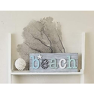 Tumbler Home Real White Seashell Sphere with Lucite Stand | 3 Inches Wide | Beach House Shelf Decor