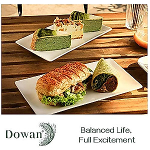 DOWAN (Set of 8) 14" Porcelain Sushi Plate for Appetizer, Meat, Dessert, Dishwasher&Oven Safe & DOWAN 12" Rectangle Serving Plates, for Thanksgiving Appetizers, Snacks, Lunch, Chips, Party