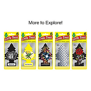 LITTLE TREES Air Fresheners Car Air Freshener. Hanging Tree Provides Long Lasting Scent for Auto or Home. Gold, 24 Air Fresheners