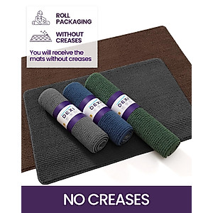 DEXI Door Mat Entryway Doormat Front Entrance Non-Slip Low Profile Washable for Inside Entry 19.5"x31.5",Grey