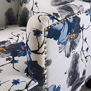 Christopher Knight Home Boaz Fabric Club Chair - Floral Print