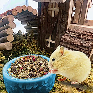 kathson 2 Pcs Hamster Food Bowl Guinea Pig Ceramic Water Bowl Small Animal Feeding Dish for Dwarf Hamster Gerbil Syrian Ferret Hedgehog Chinchilla Bunny (Blue)…