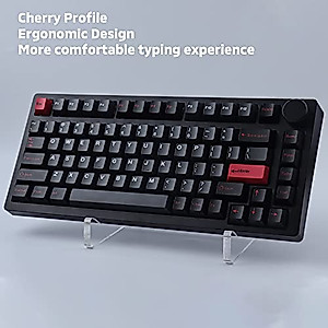 Hyekit Keycaps 172 Keys Custom Keycaps Double Shot ABS Keycap Set 6.25u 7u Cherry Profile for Cherry Gateron MX Switches Mechanical Keyboard (Evil Dolch)