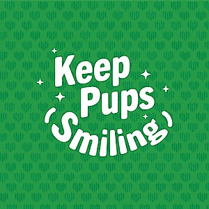 Dr. Dental Medium Fresh Chews Dental Dog Treats, Clear, 16 OZ