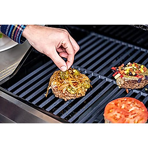 Monument Grills 14633 2-Burner Stainless Steel Liquid Propane Gas Grill with Clear View Lid, LED Controls Mesa 200