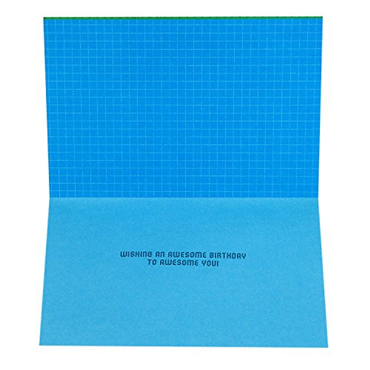 Hallmark Signature Birthday Greeting Card (Awesome Birthday)