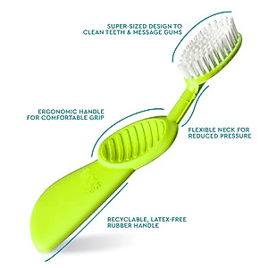 Radius Toothbrush Flex Brush BPA Free & ADA Accepted Designed to Improve Gum Health & Reduce Gum Issues - Right Hand - Lime White - Pack of 1
