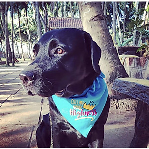 That Dog In Tuxedo Call me Your Highness Dog Bandana/Dog Scarf with Adjustable Dog Collar (Size XL)