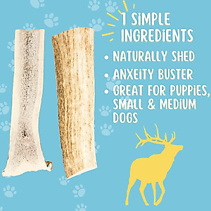 Small Premium Split Elk Antlers for Dogs - 4''-5'' Inch Long Dog Chews (3 Pack) Naturally Shed Antler Bone for Small Breed Aggressive Chewers - Made In USA - Promotes Dental Hygiene (3 Pack)