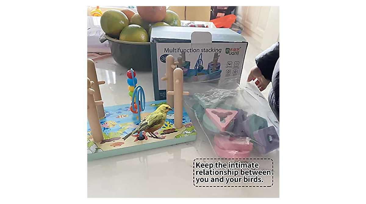 Bird Wooden Block Puzzle Toy for Parrots & Parakeets