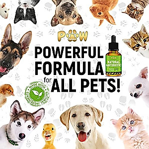 GoldenPaw Herbal Pet Supplement for Cat