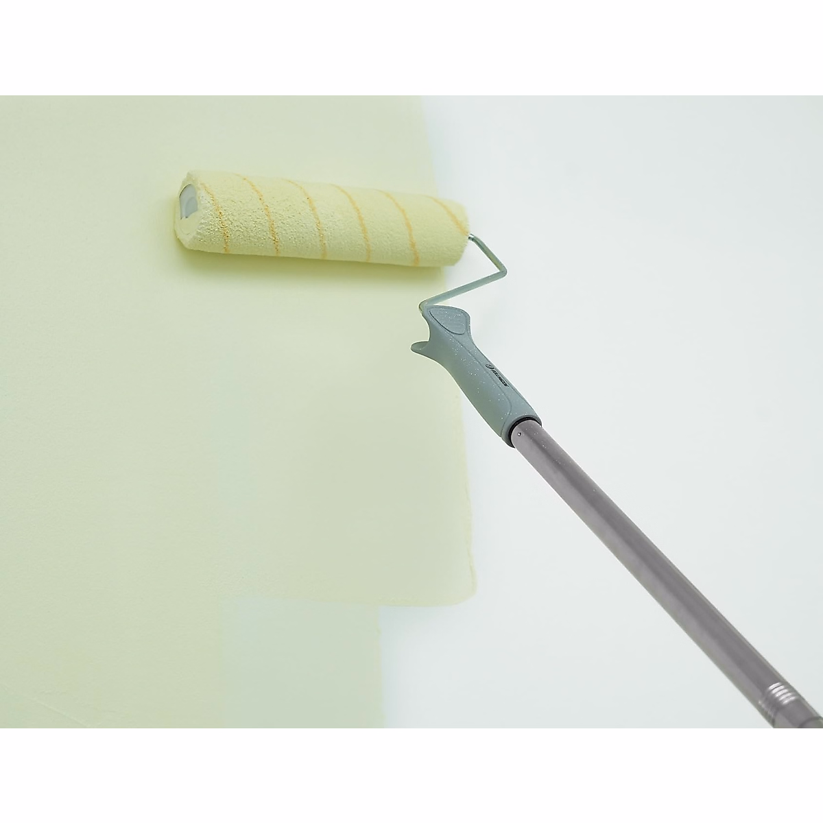 ROLLINGDOG Paint Roller Kit with Extension Pole - 9 Inch Paint Roller with Tray, 4Inch Mini Rollers,Stainless Steel Extension Pole (3ft)