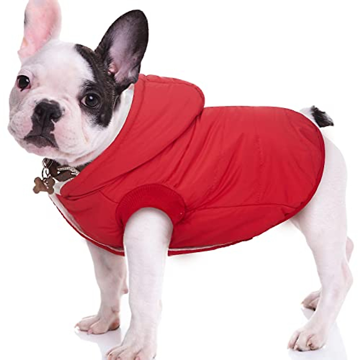 Dog Hoodies 2 Pieces Dog Jacket with Hat, Soft Windproof Coat Small Dogs Jacket Puppy Coats with Hoodie, 2 Colors Provided (Red, Navy Blue, Medium)