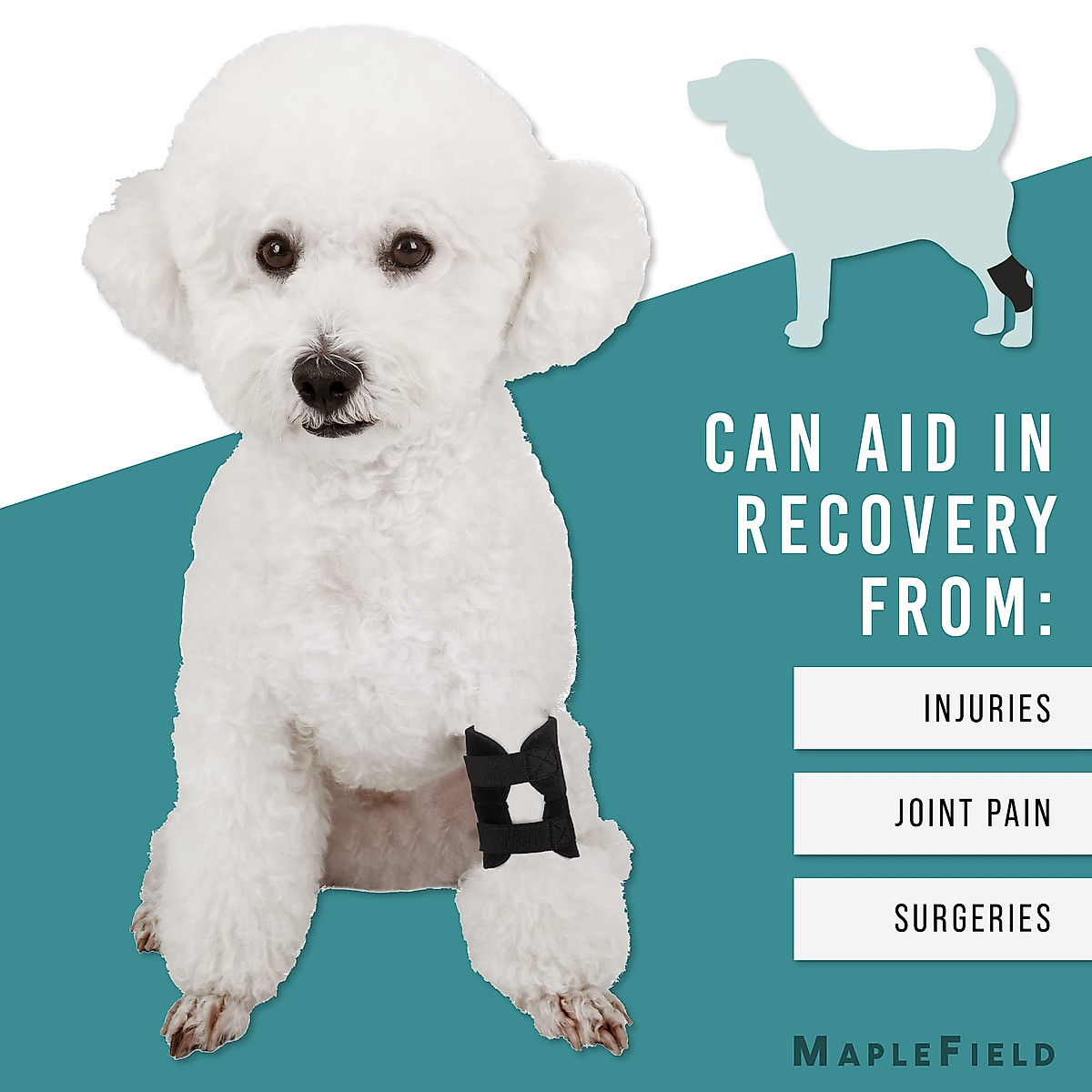 Maplefield - Dog Leg Brace - Rear Hock Hind Leg Support for Canines - Helps Promote Healing and Rehabilitation, Prevents Injuries, and Helps with Arthritis (XS)