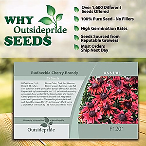Outsidepride Annual Rudbeckia Hirta Cherry Brandy Garden Flowers - 25 Seeds