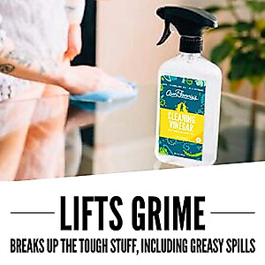 Aunt Fannie's All Purpose Cleaning Vinegar, Multisurface Spray Cleaner, 16.9 Ounces, Lemon Scent (Pack of 1)