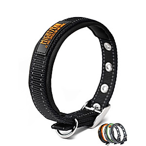 Mighty Paw Dog Collar - Padded Comfort - Neoprene Lining - High Visibility Reflective Threading - Weatherproof Nylon - Buckle Adjustable Dog Collar - Comfortable Dog Collar for All Dog Breeds