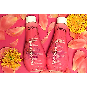 Juice Beauty Passion Flower Volumizing Shampoo - 300 mL - Promotes Thicker Hair, Deeply Cleanses + Improves Shine - Vegan, Cruelty Free