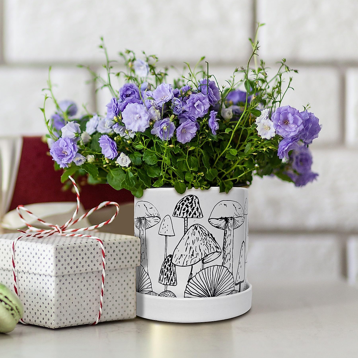 QGWJEKUI Mushroom Decor Planter Pot with Drainage Hole & Removable Draining Tray,Handmade Pots for Plants Flowers Indoor,Unique Ceramic Planter,Cute Succulent Pots,Aesthetic Modern Boho Gifts