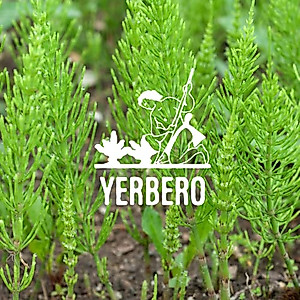 Yerbero - Premium Loose Horsetail Tea 2oz (58gr) | Cola De Caballo Te Herbal | Makes 30+ Cups | Shave Grass - Snake Grass | Stand Up Resealable Bag | Crafted By Nature100% All Natural.