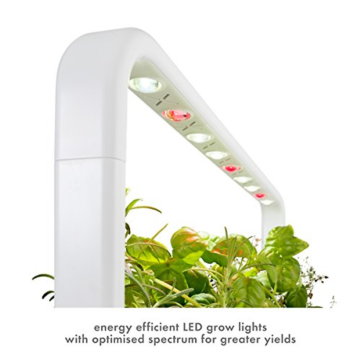 Click & Grow Indoor Herb Garden Kit with Grow Light | Easier Than Hydroponics Growing System | Smart Garden for Home Kitchen Windowsill | Vegetable & Herb Garden Starter Kit with 9 Plant pods, White