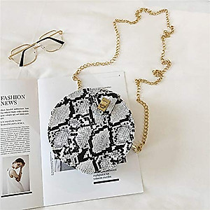 abigail paige Fashion Crossbody Bag Snakeskin Shoulder Bag with Chain Strap for Women (white), Small