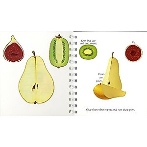 Fruit (7) (My First Discoveries)