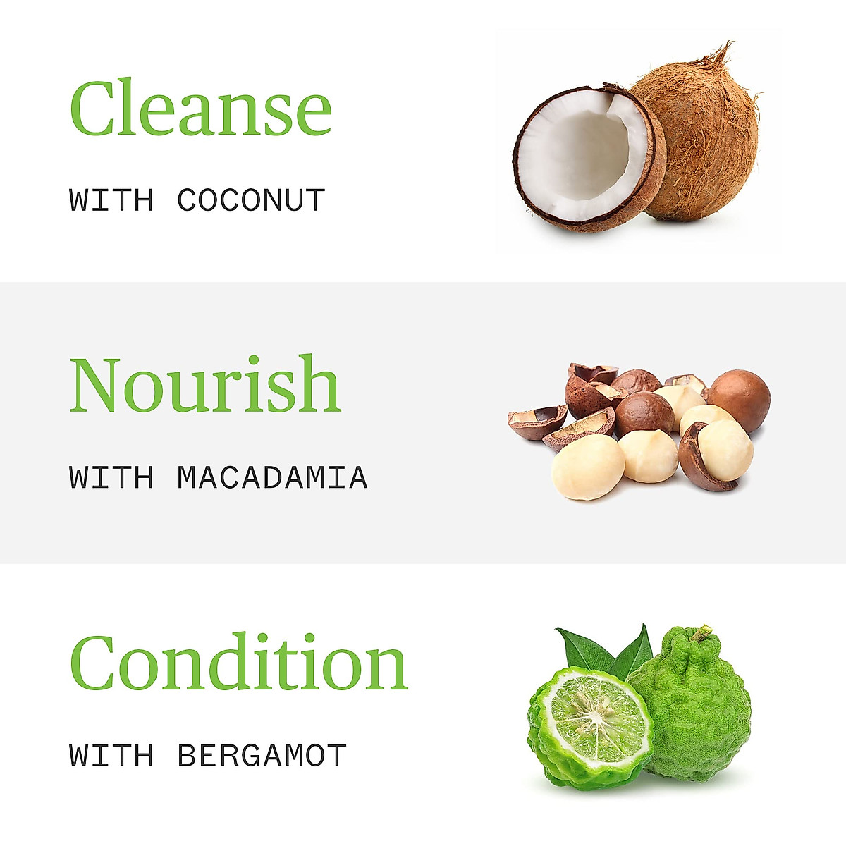 Ursa Major Natural Shampoo | Sulfate-Free, Vegan, Cruelty-Free, Non-toxic | Formulated for Men & Women and All Hair Types | 8 ounces