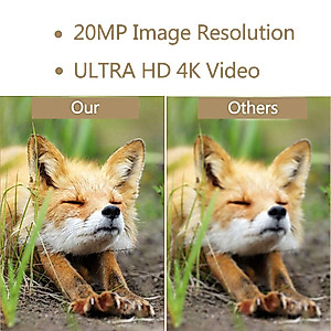 GoldPaddy Trail Game Camera 4K 20MP, Hunting Camera with Night Vision Motion Activated Waterproof Camera 0.2s Trigger Time Scouting Cam 2.4” LCD IR LEDs 120° Wide Angle for Wildlife Home Monitoring