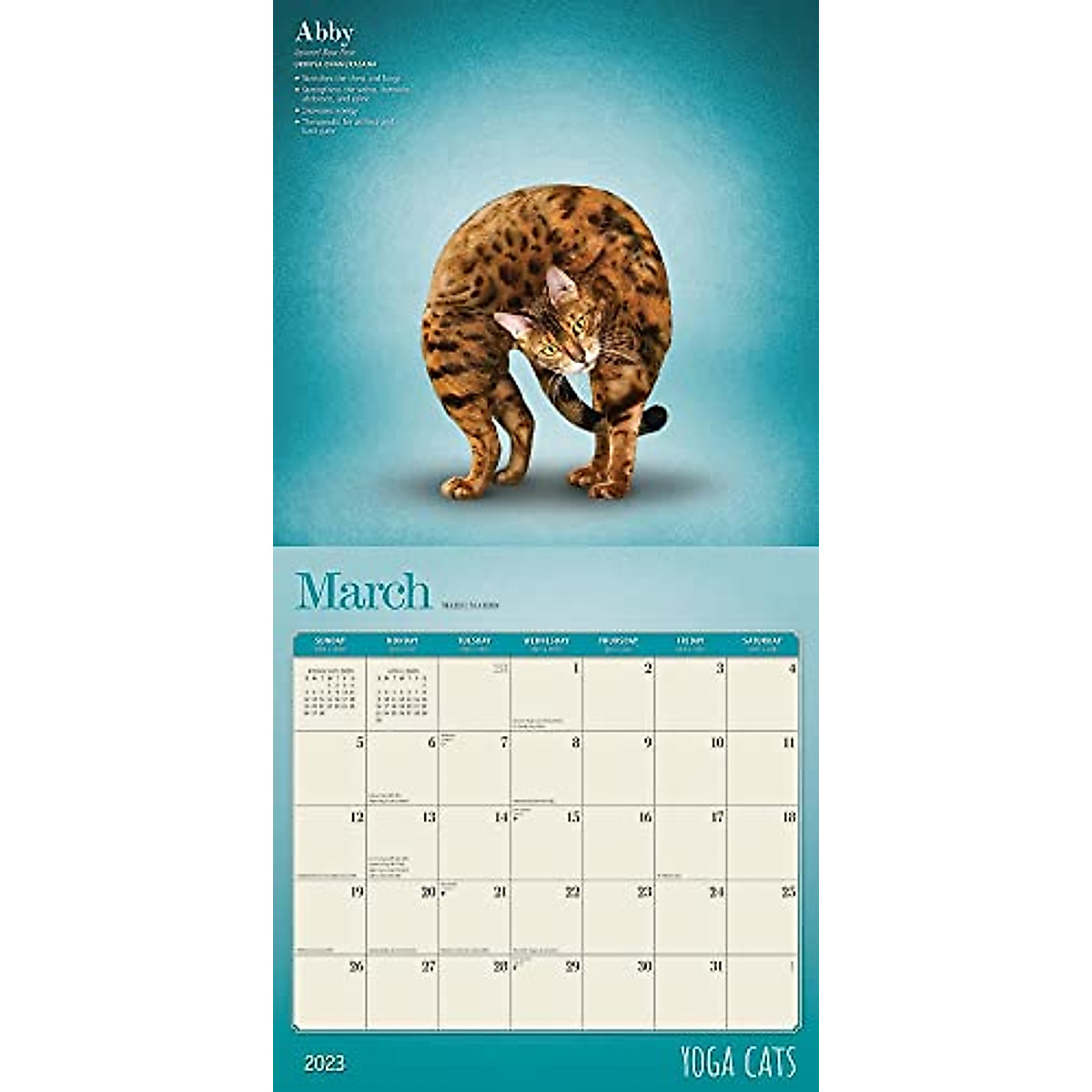 Yoga Cats OFFICIAL | 2023 12 x 24 Inch Monthly Square Wall Calendar | BrownTrout | Animals Humor Pets