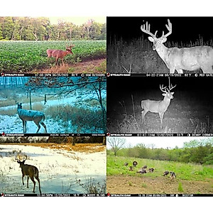 Stealth Cam Deceptor NO GLO 80ft Detection & IR Range 40MP Photo 1440P HD Video Capture Remote App Contol Wireless Hunting Cellular Trail Camera - Available on AT&T & Verizon