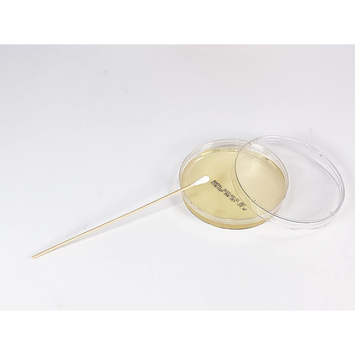 Sabouraud Dextrose Agar-II (SDA), (10-Pack), Pre-Poured, 15x100mm Petri Plates, For the Cultivation, Isolation and Identification of Yeasts and Molds.