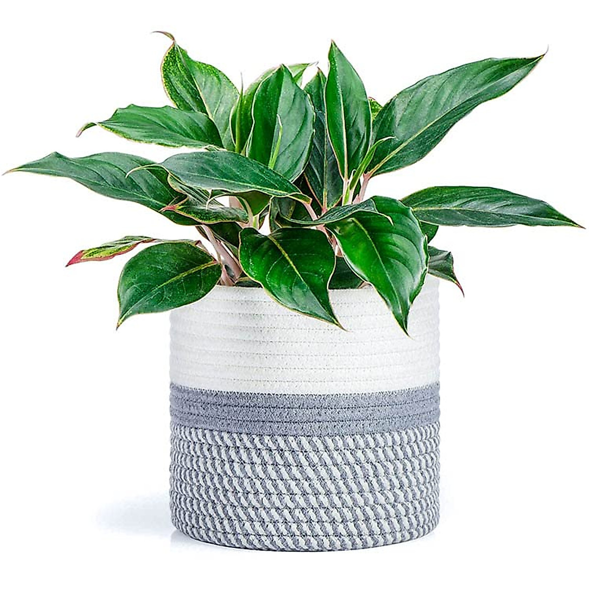 OHROS 1 Piece Woven Baskets For Storage Cotton Rope Baskets For Organizing 11 Inch Cube Storage Bin Small Laundry Basket For Bathroom Cat Dog Toys Bin Clothes Closet Storage Shelf Organizer 11x11x11''