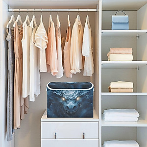 ZRWLUCKY Blue Dragon Storage Organizer Box with Lids and Handle Sturdy Foldable Decorative Storage Box for Playroom, Bathroom, Bedroom, Kids, Boys, Girls, Adults, Puppies