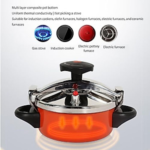 Stainless Steel Pressure Cooker, 2L Mini Pressure Canner with Safety Valve Multifunction Pressure Cookware for Gas Stoves, Induction Stoves, Electric Furnaces