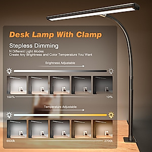 Airlonv LED Desk Lamp for Office Home, Eye-Caring Desk Light with Stepless Dimming Adjustable Flexible Gooseneck, 10W USB Adapter Desk Lamp with Clamp for Reading, Study, Workbench (Black)