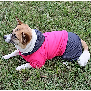 JoyDaog Fleece Lined Dog Coat with Detachable Hood and Detachable Hind Legs,Warm Puppy Jacket in Winter(Pink&Grey M)