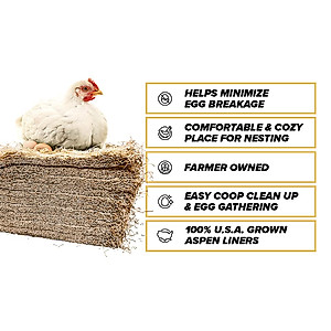 Eaton Pet and Pasture, Premium Laying Hen Nesting Pads, USA Grown & Sustainably Harvested, 13 x 13 (10 Pack)